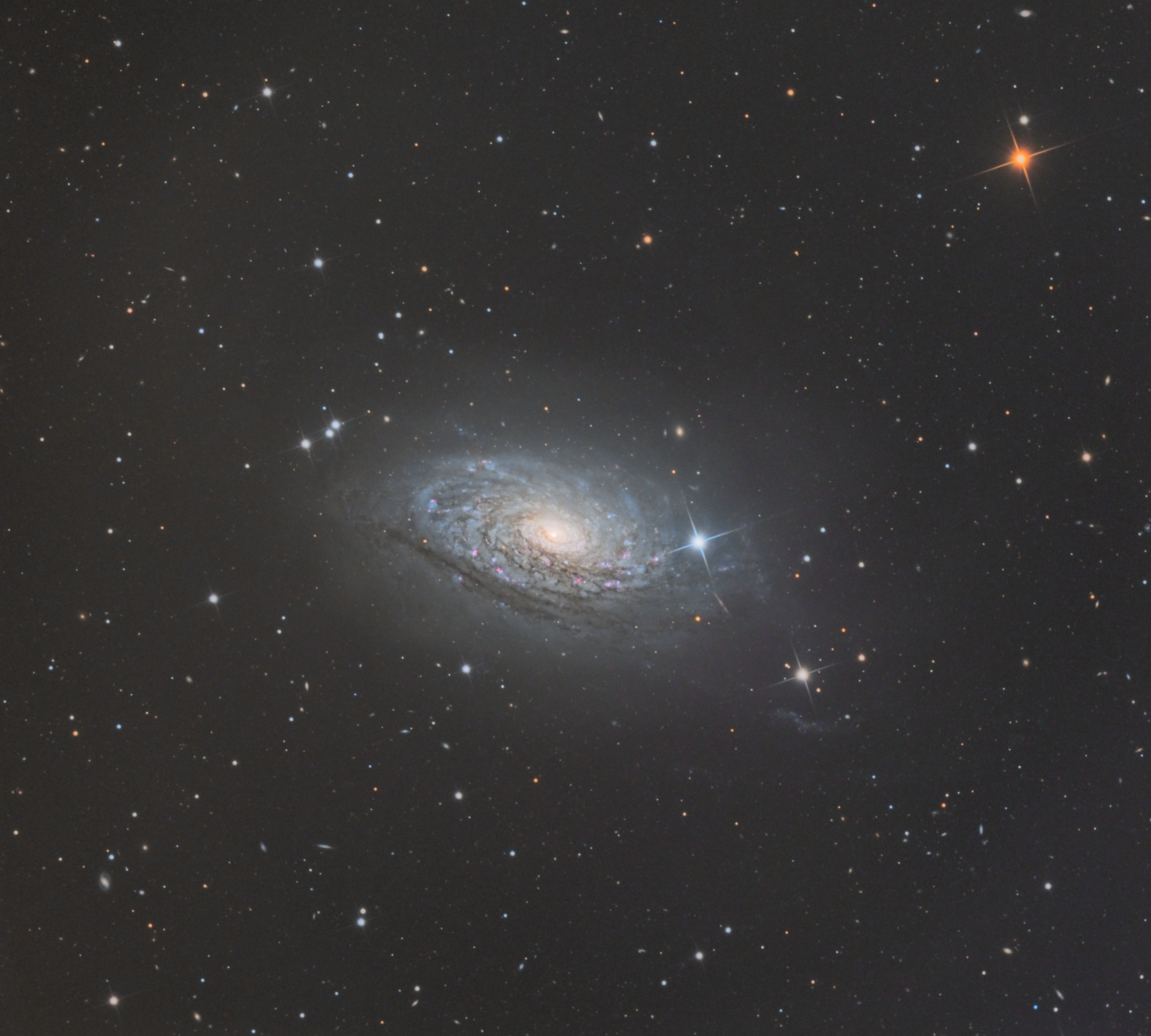 M63